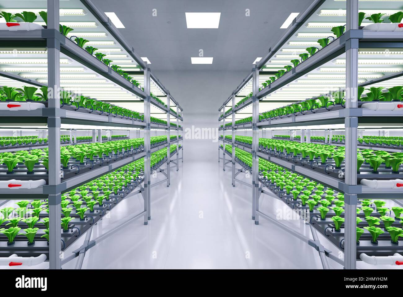 Agriculture technology with 3d rendering indoor farm system raised ...