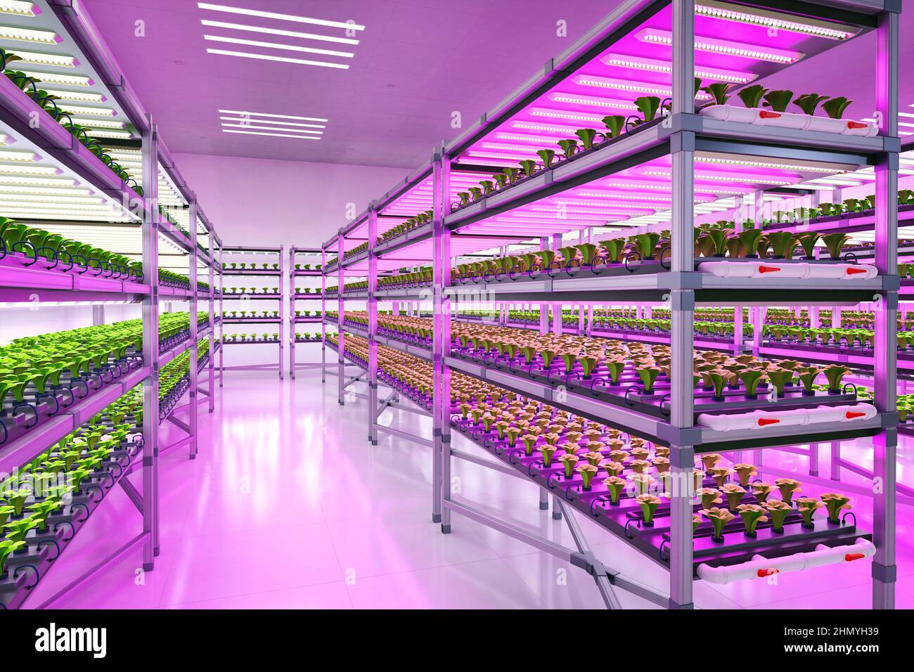 Agriculture technology with 3d rendering indoor farm system raised ...
