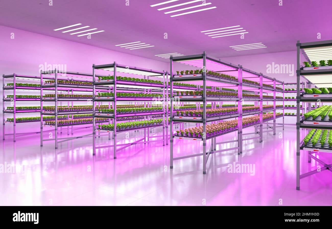 Agriculture technology with 3d rendering indoor farm system raised ...