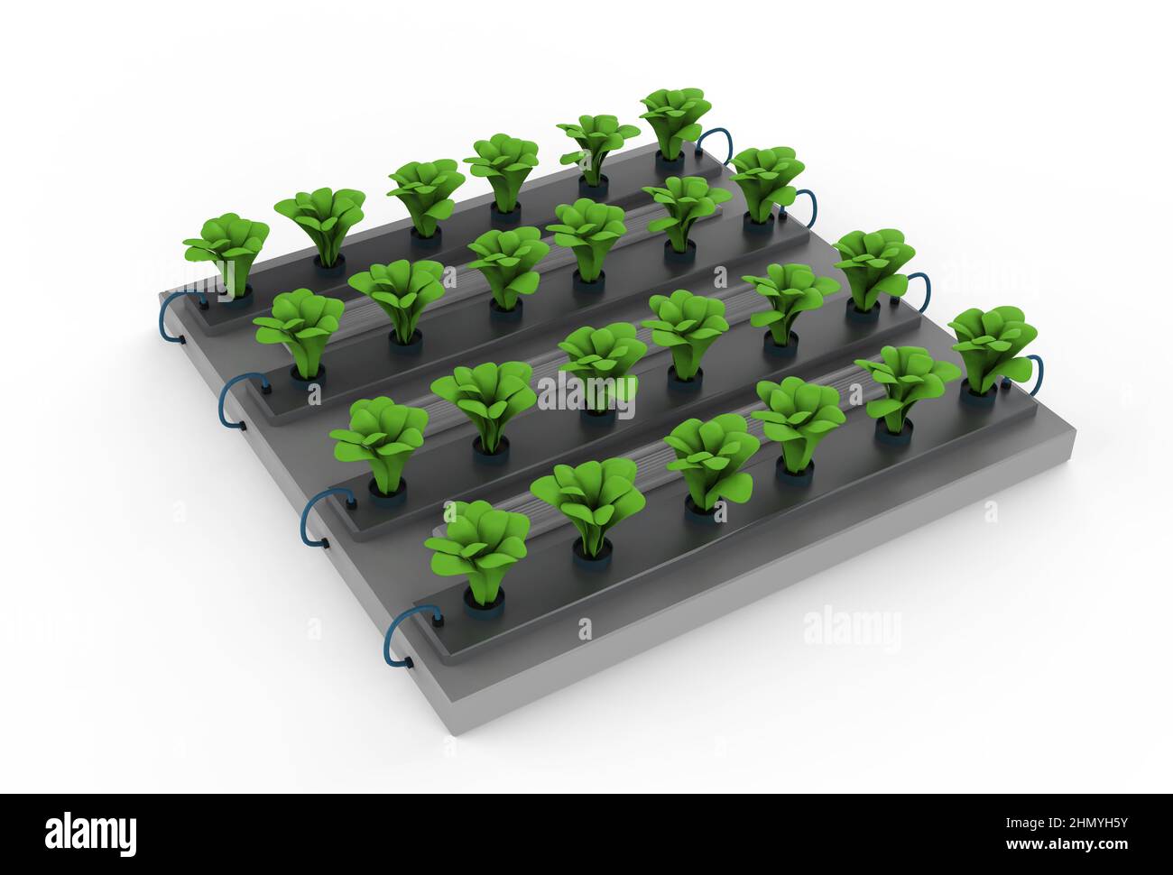 3d rendering raised plants in garden bed isolated on white Stock Photo ...