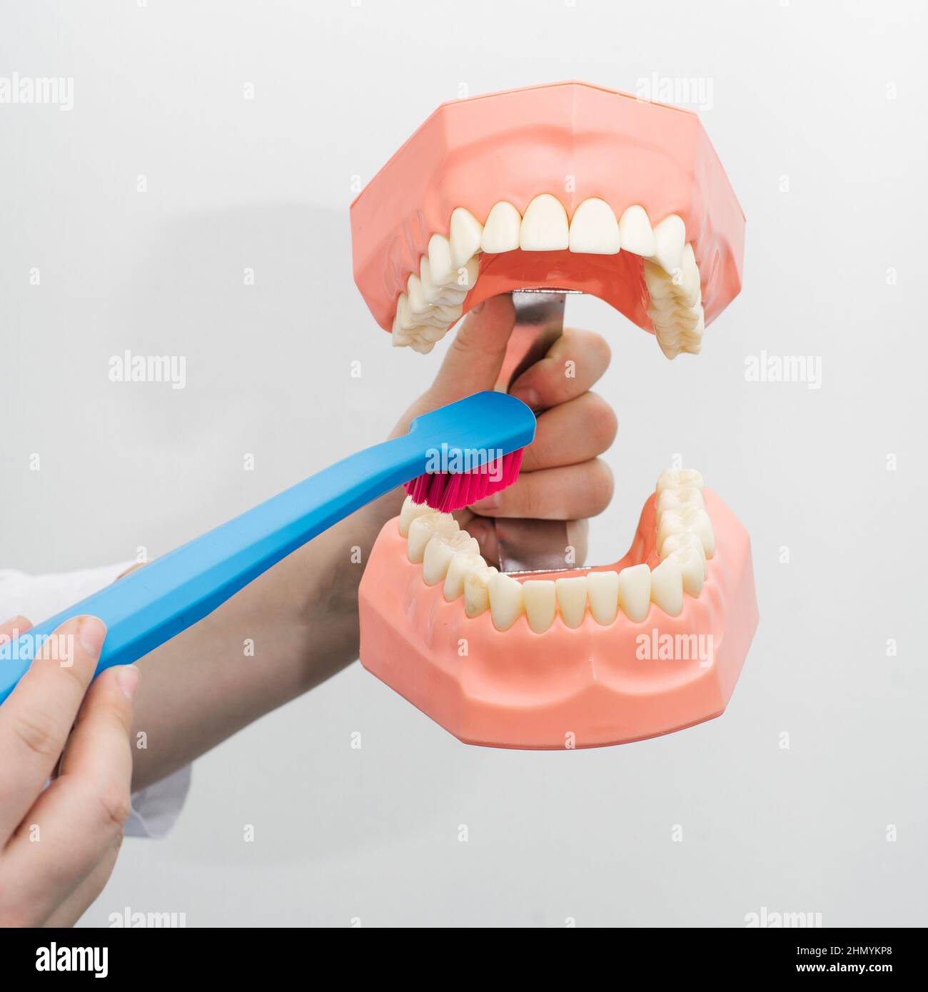 Jaw mock up hi-res stock photography and images - Alamy