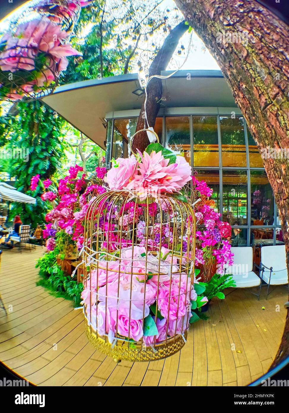 Pink roses and other flower bush in bird cages hanging on to tree ...