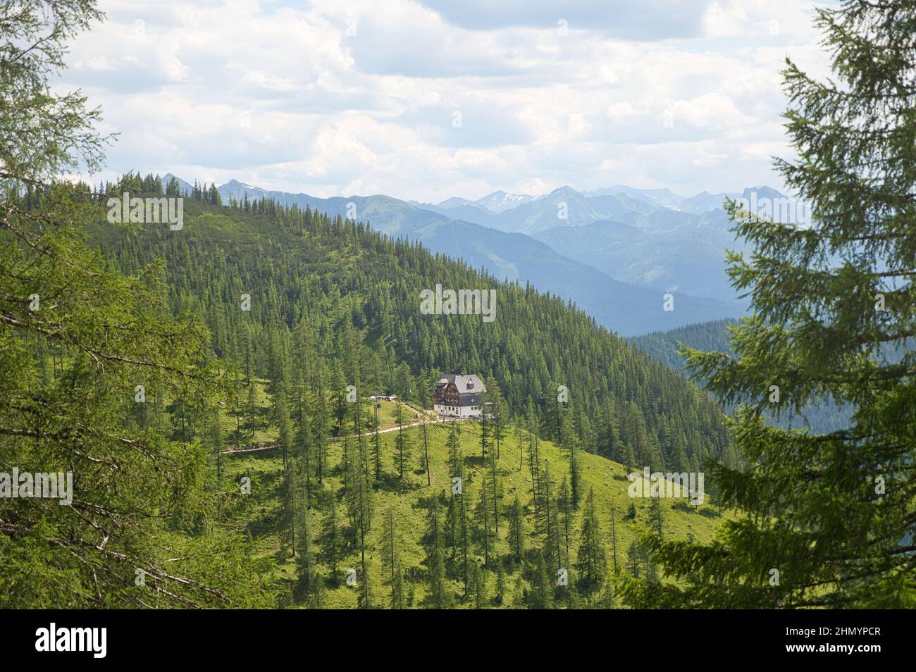 Beautiful view of green landscape with Alps in Adelboden, Switzerland ...