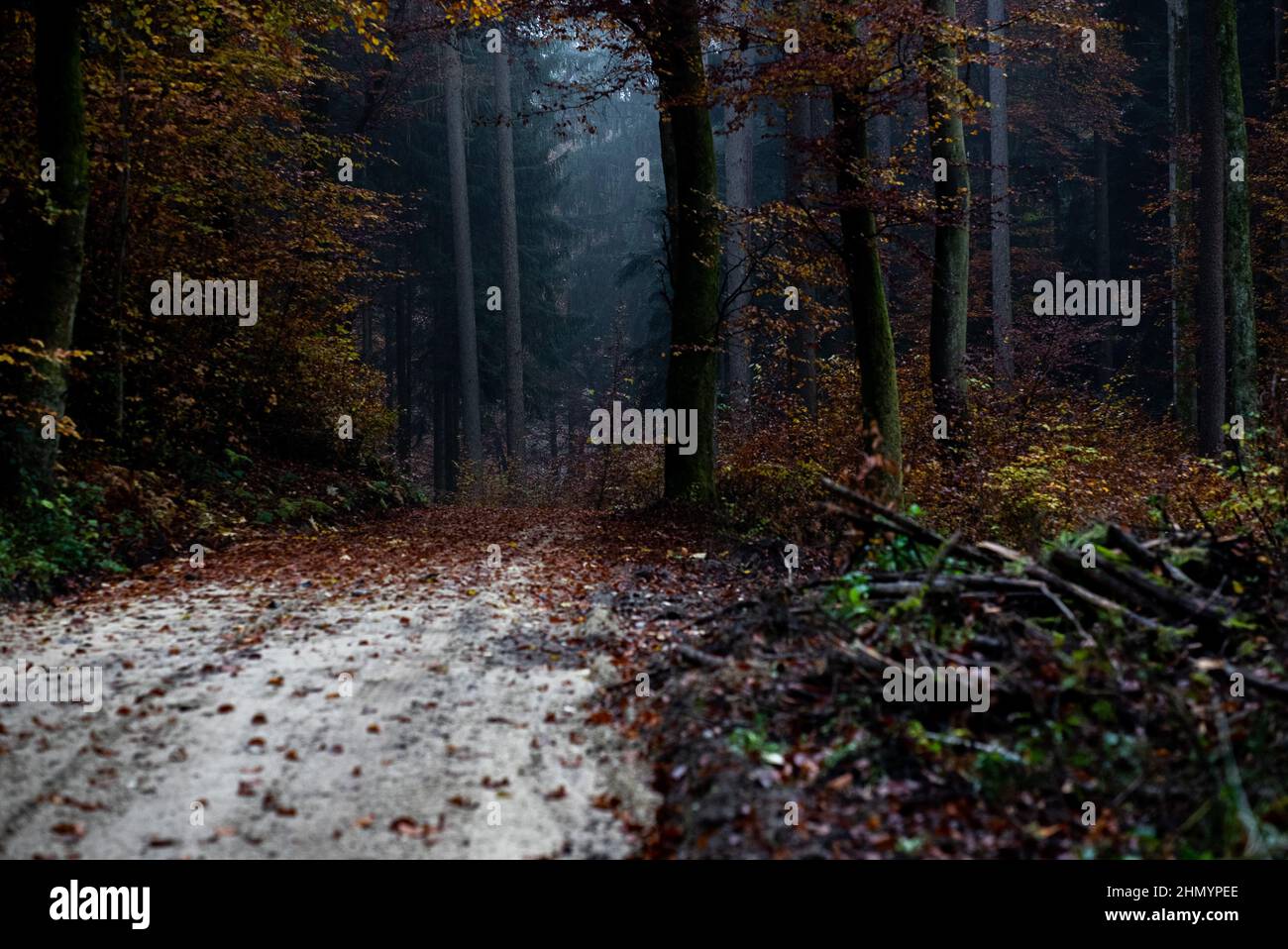 Adelboden fall hi-res stock photography and images - Alamy