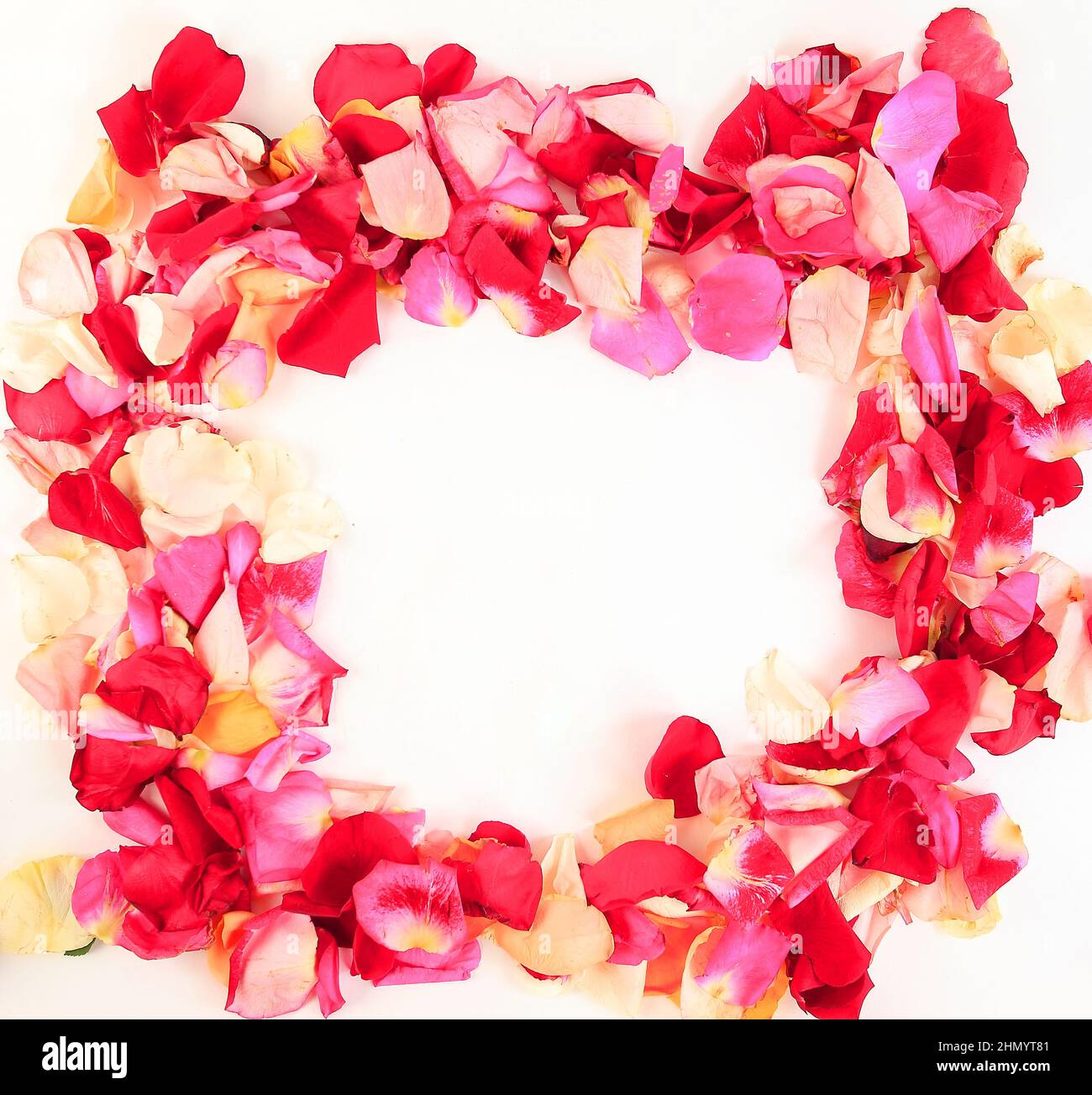 frame of beautiful petals of roses Stock Photo - Alamy