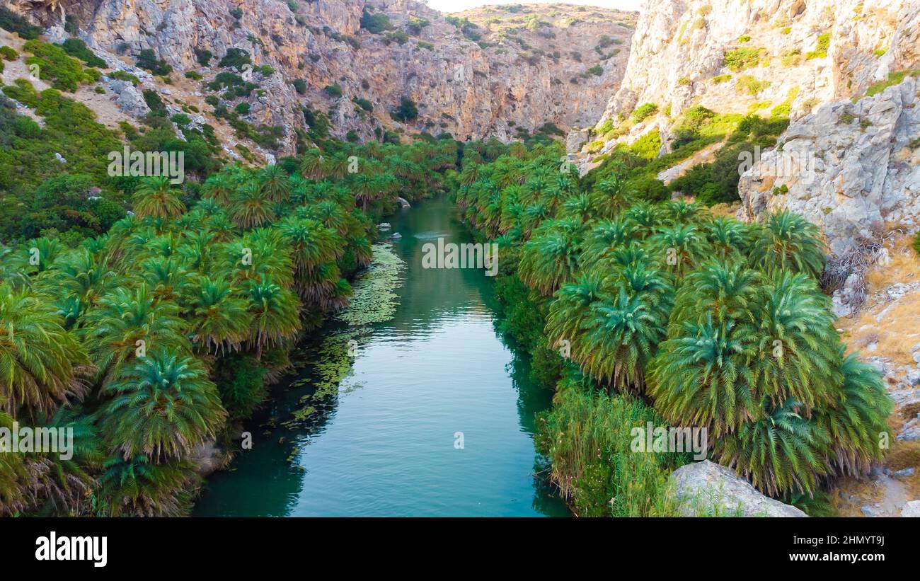 Preveli palm forest in crete hi-res stock photography and images - Alamy