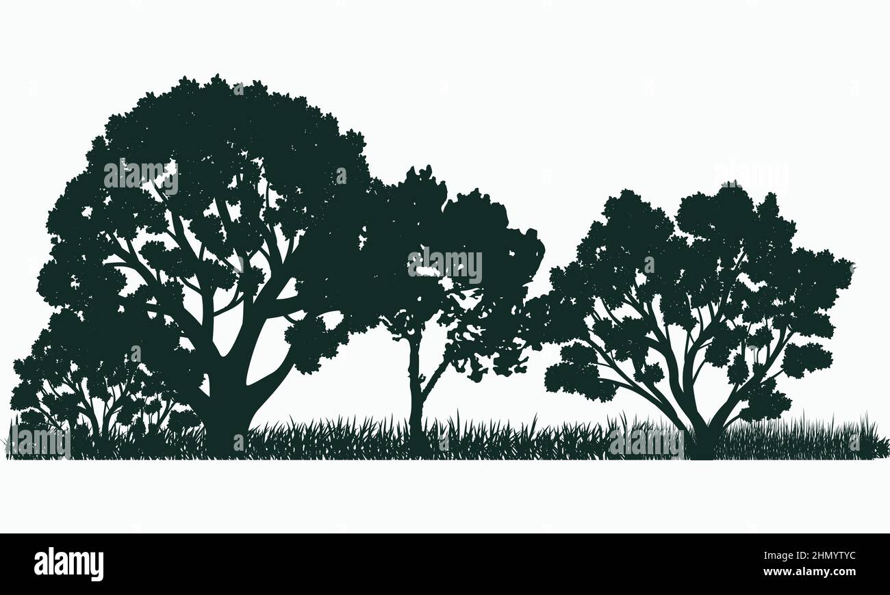 Set of abstract stylized trees. Natural illustration Stock Vector Image ...