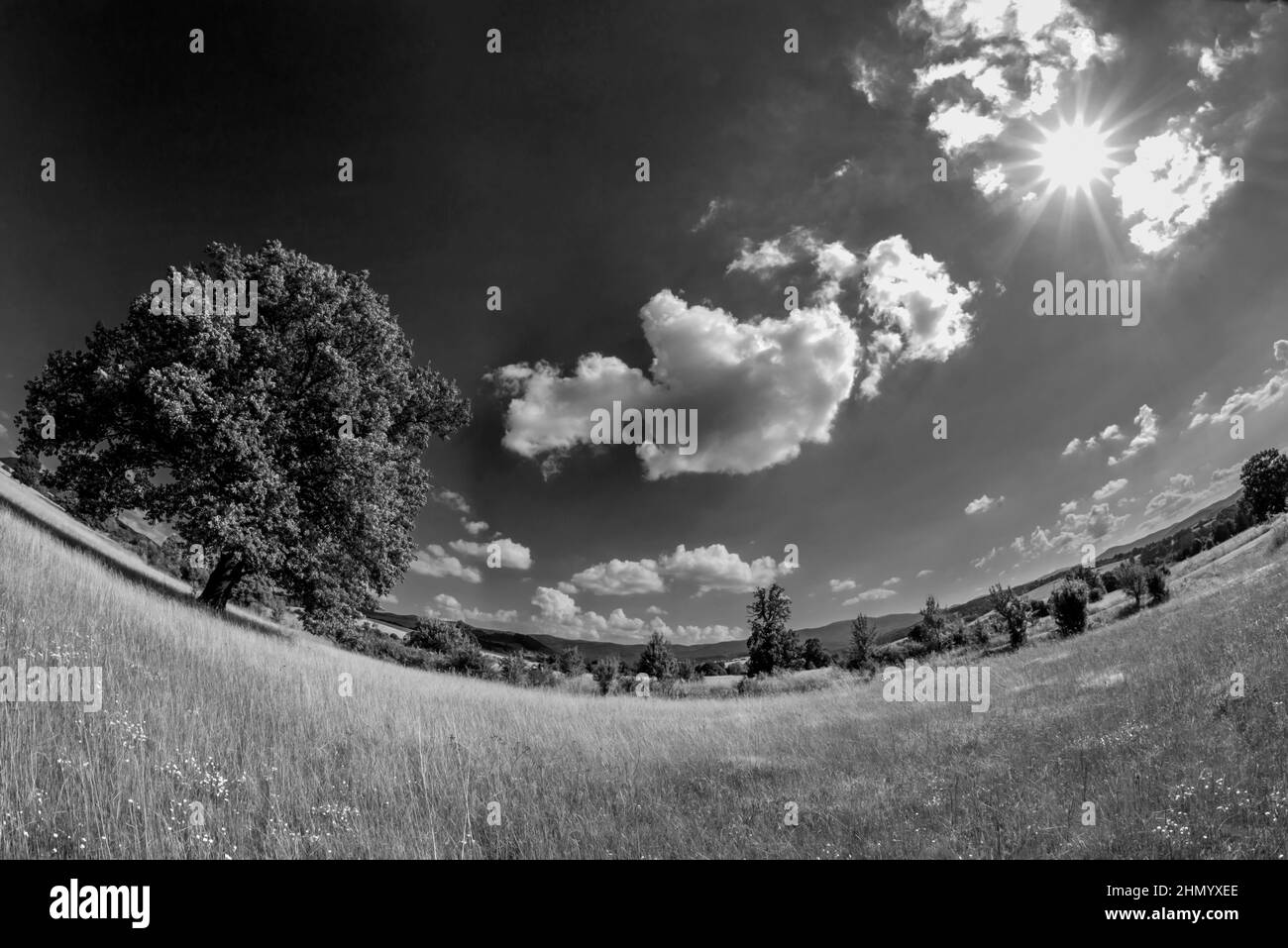 Dreamy Black and White Stock Photos & Images - Alamy
