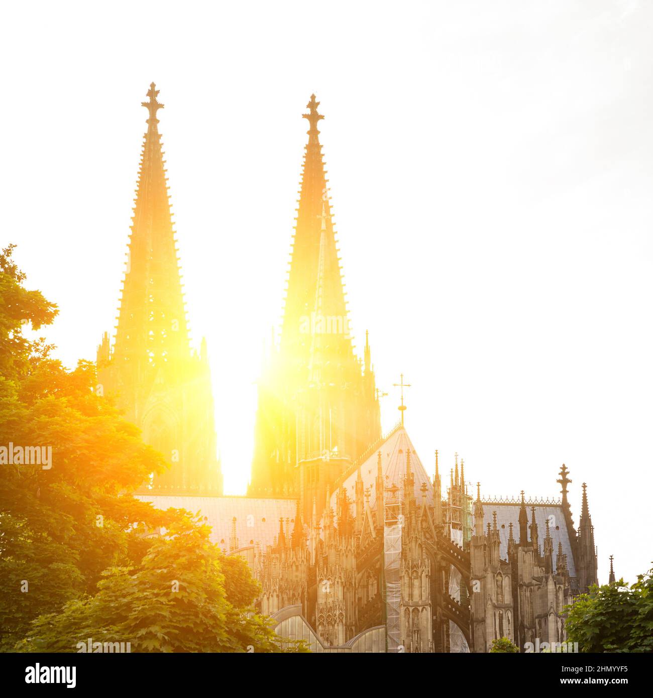 cologne cathedral at sunset Stock Photo - Alamy