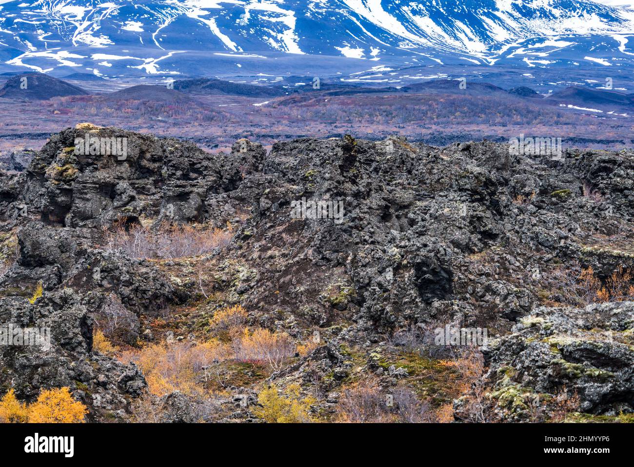 Vast lava field with snow covered mountains in the background Stock ...