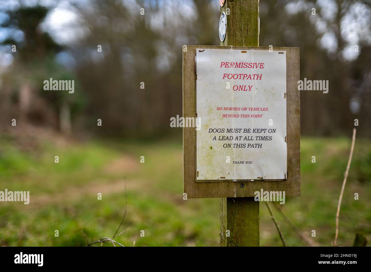 No dogs beyond this point sign hi-res stock photography and images - Alamy