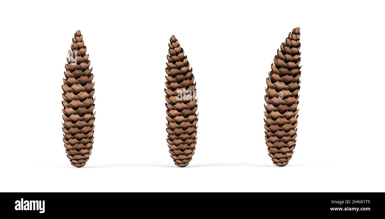 Three spruce cones isolated on a white background - 3D render Stock ...