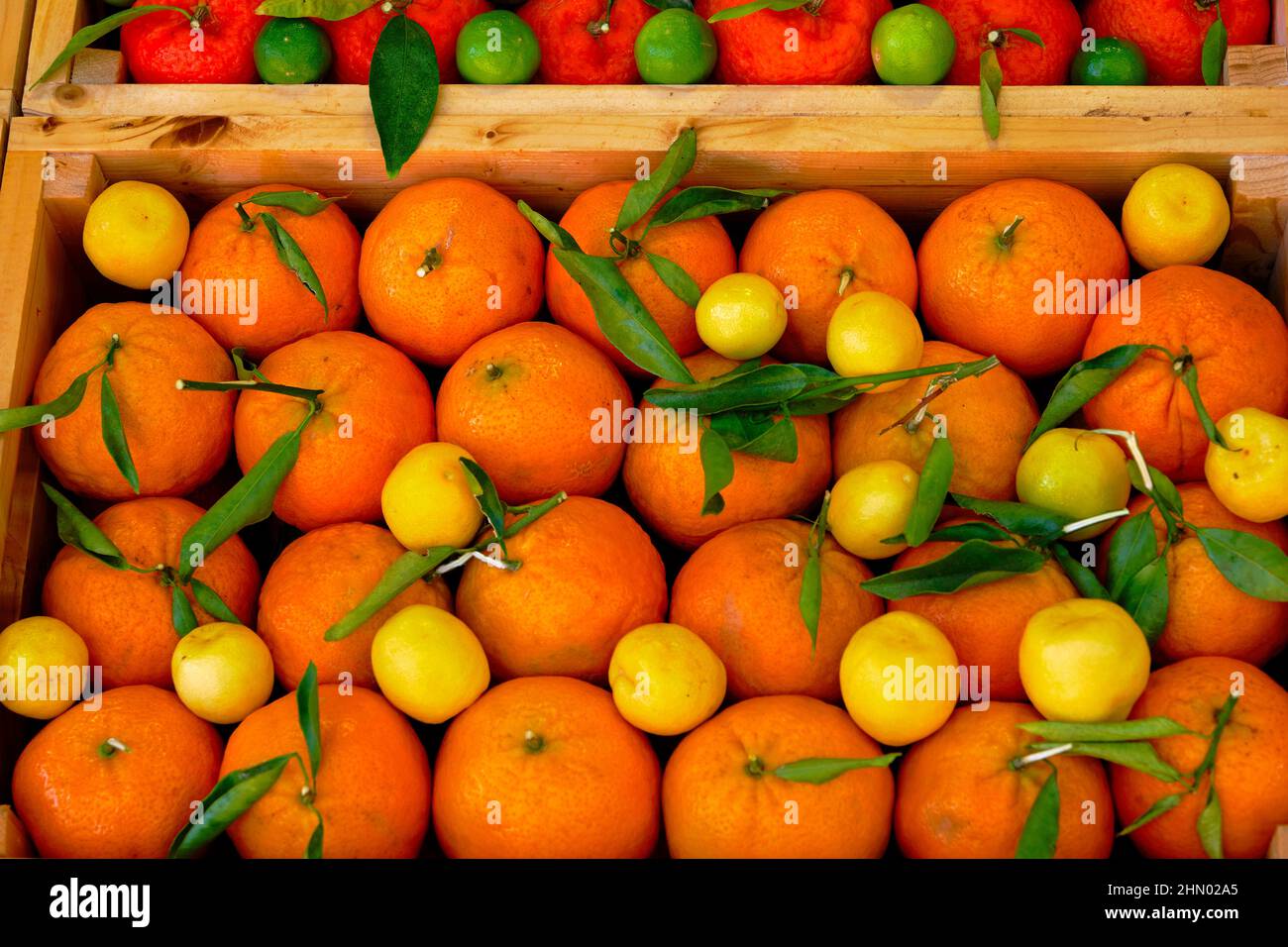 Saudi Arabia, Al Madinah Region, AlUla or Al Ula, local market, orange ...