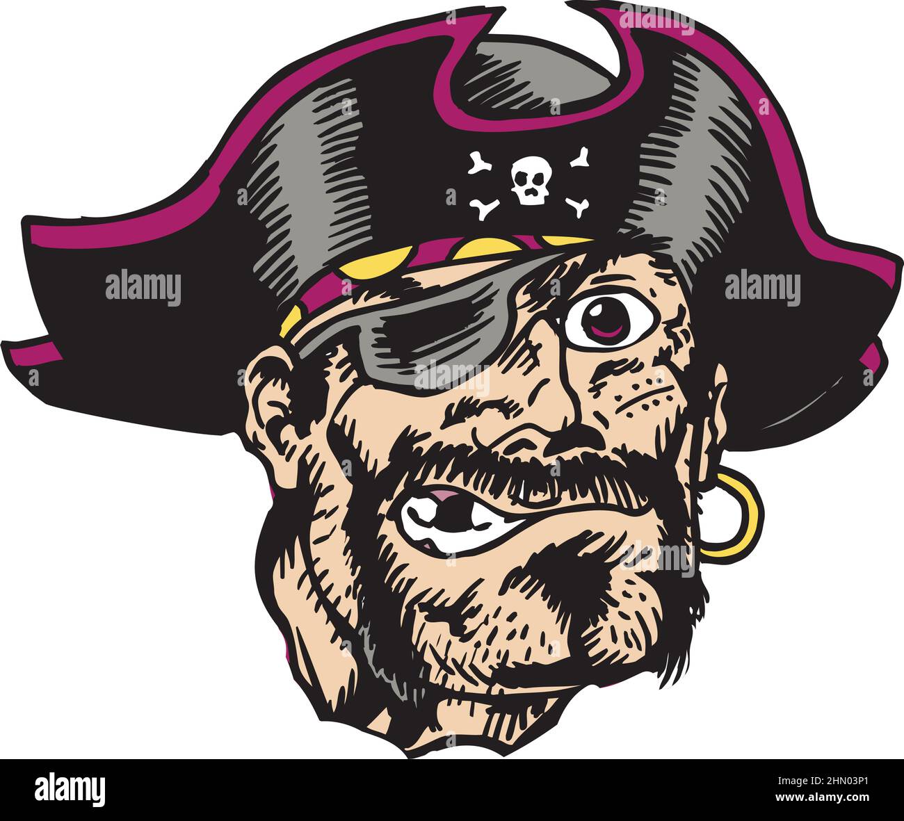 Pirate Mascot Head Vector Illustration Stock Vector Image & Art - Alamy