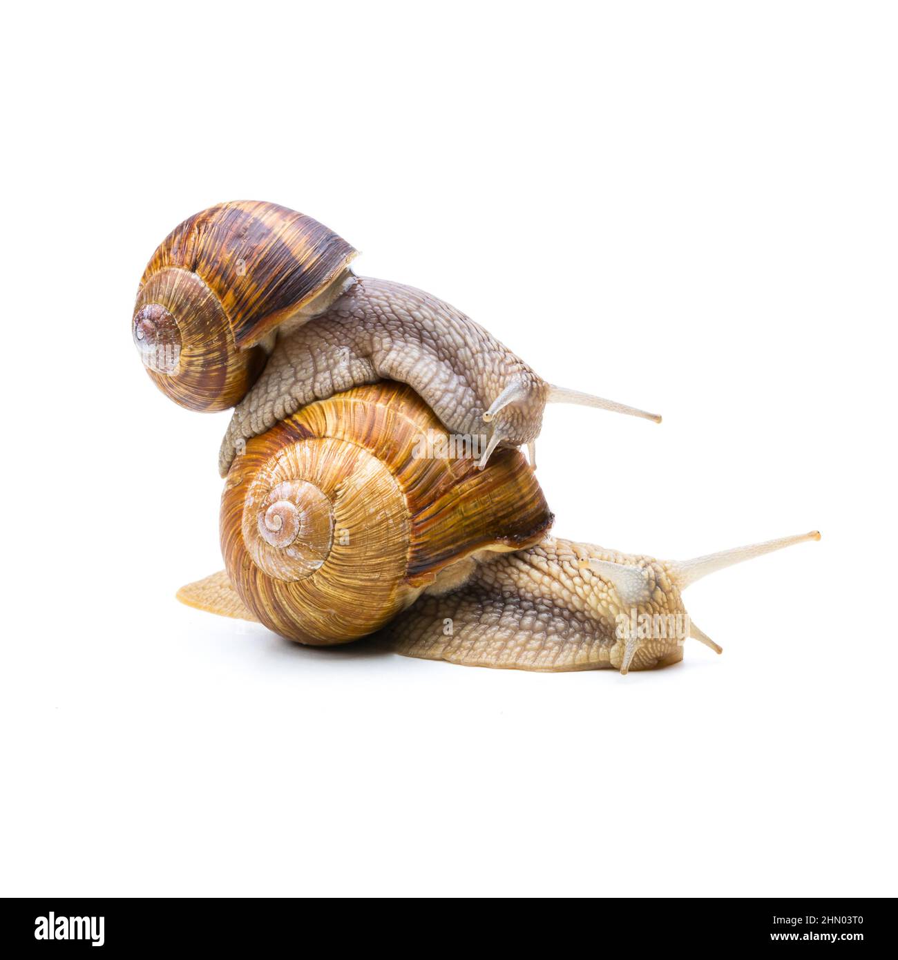 Symbol snail mail hi-res stock photography and images - Alamy