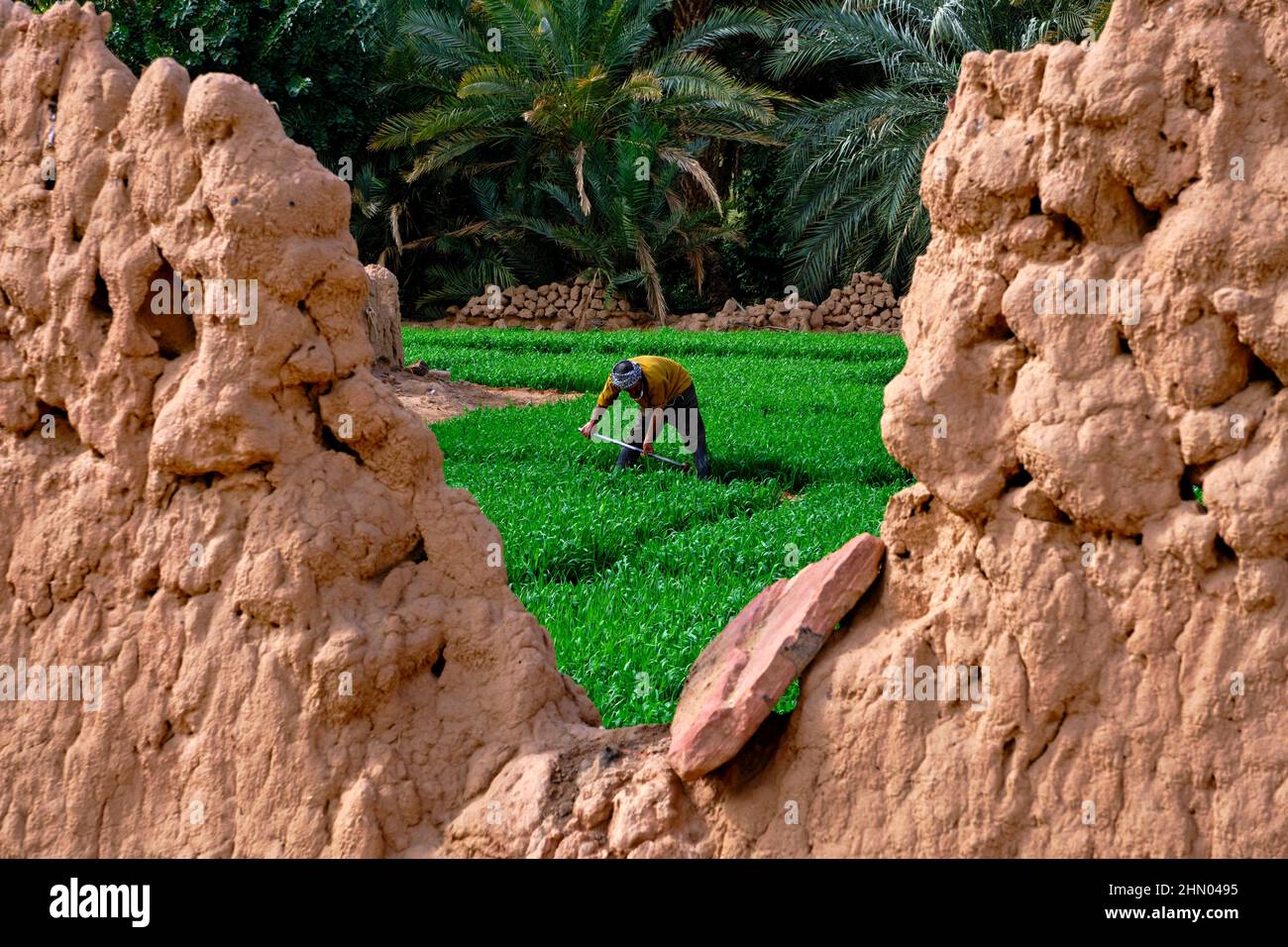 Saudi Arabia, Al Madinah Region, AlUla or Al Ula, landscape around the ...