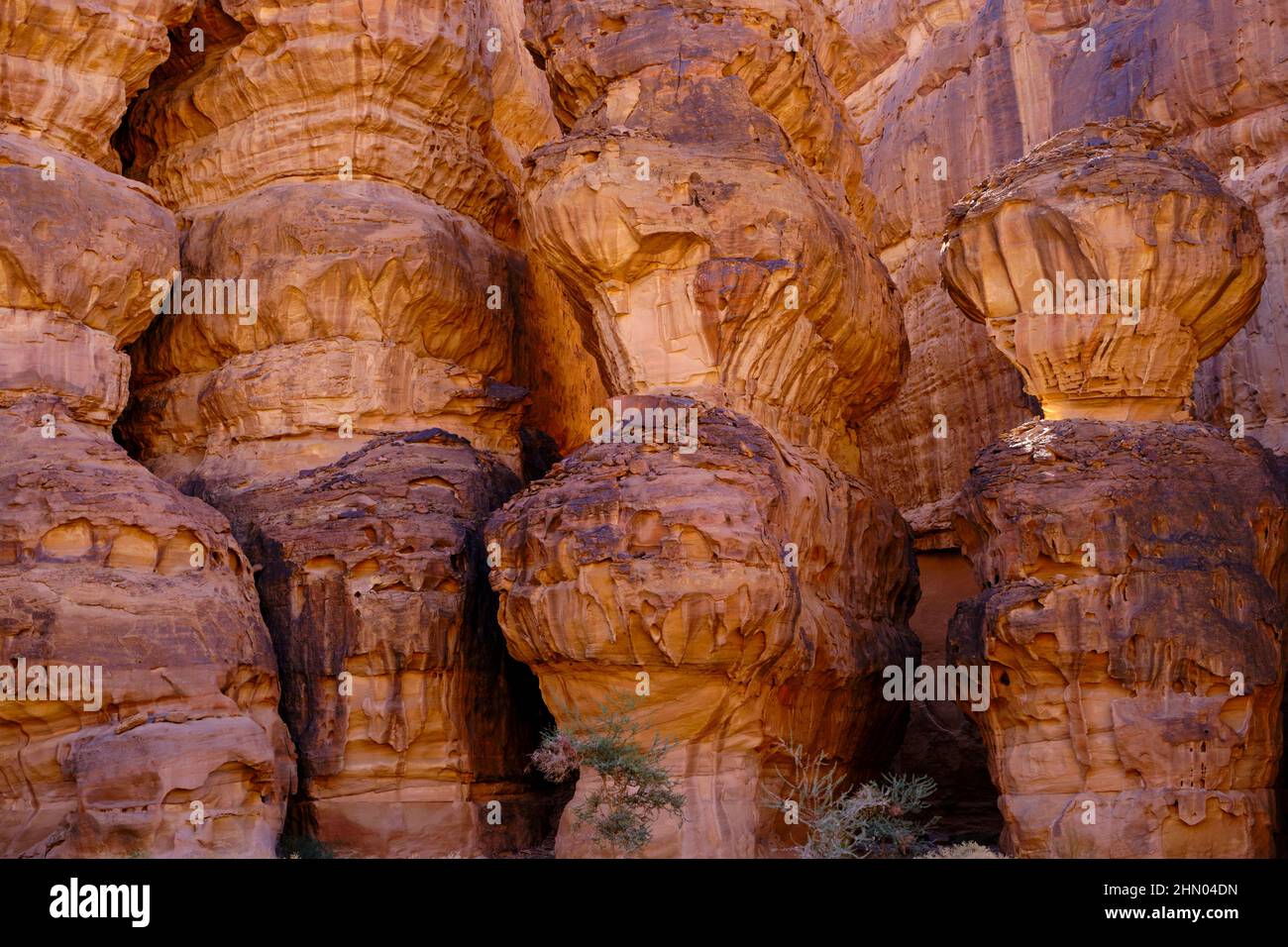 Alula arabie saoudite hi-res stock photography and images - Alamy