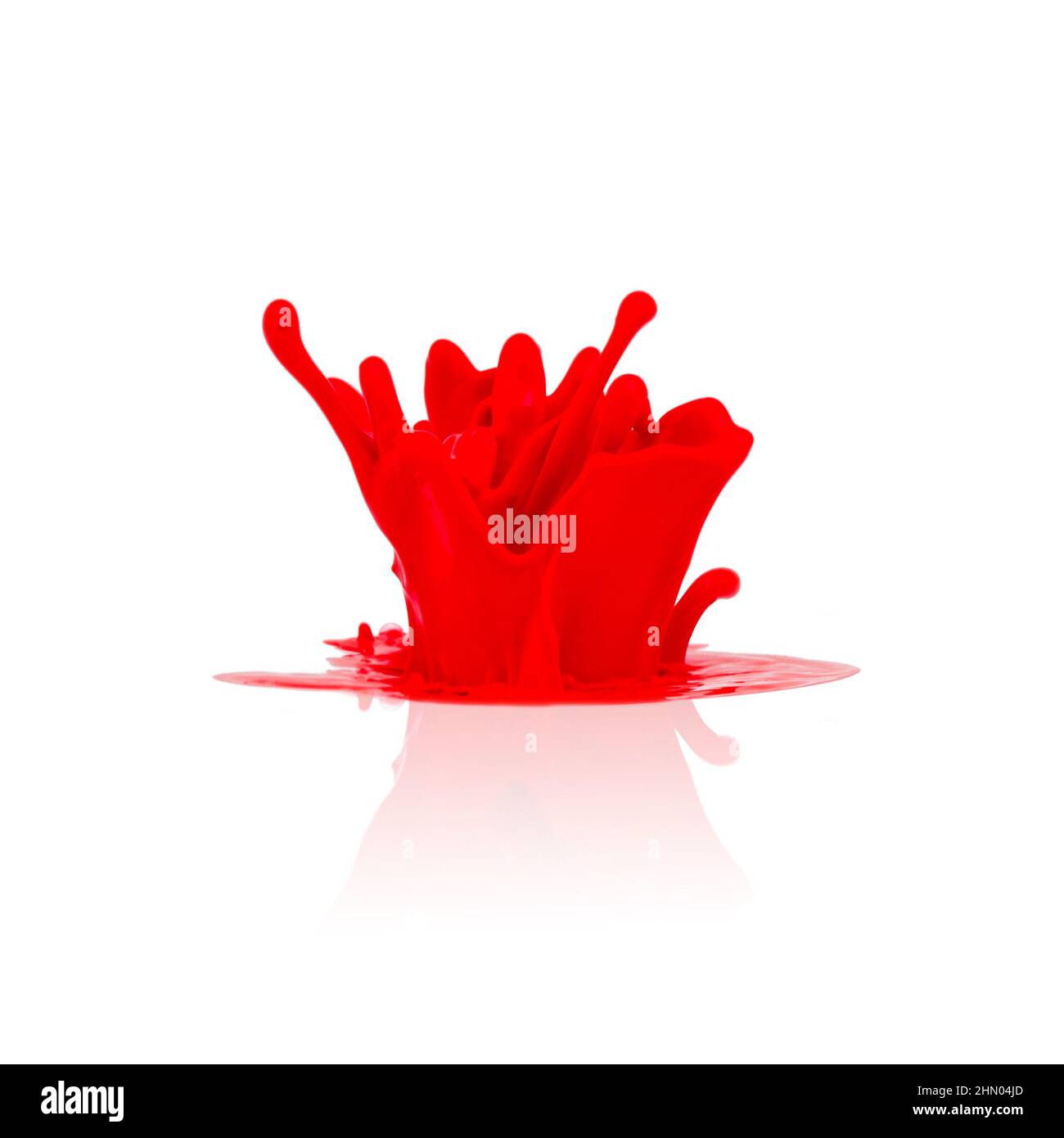 red paint splashing isolated on white Stock Photo - Alamy