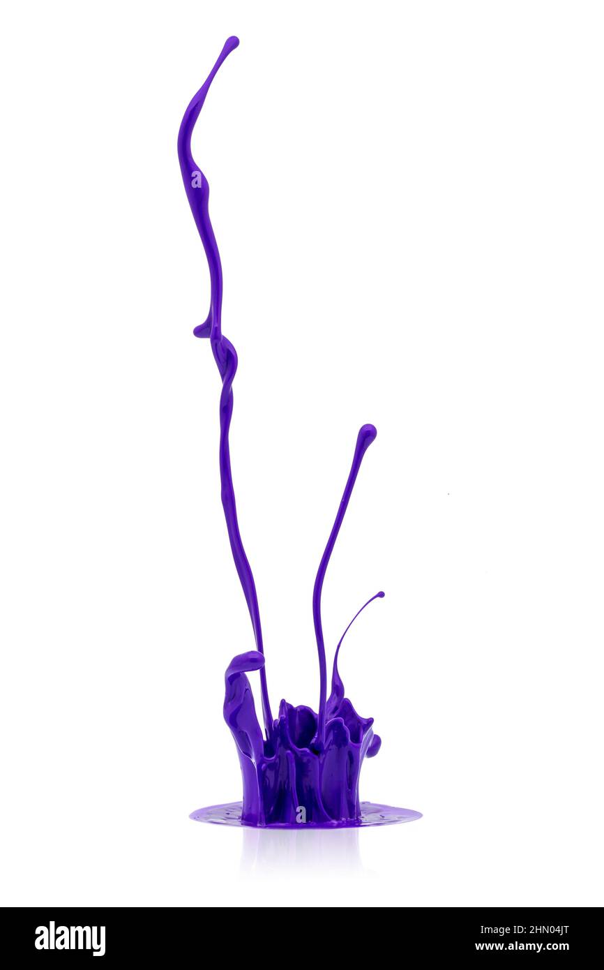 purple paint splashing on white Stock Photo - Alamy