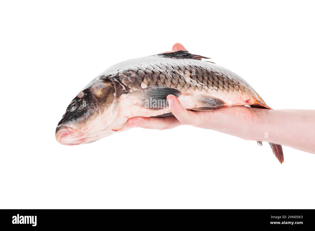 Man eating raw fish Cut Out Stock Images & Pictures - Alamy