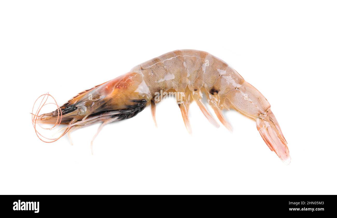 Raw tiger shrimp. Isolated on a white background Stock Photo - Alamy