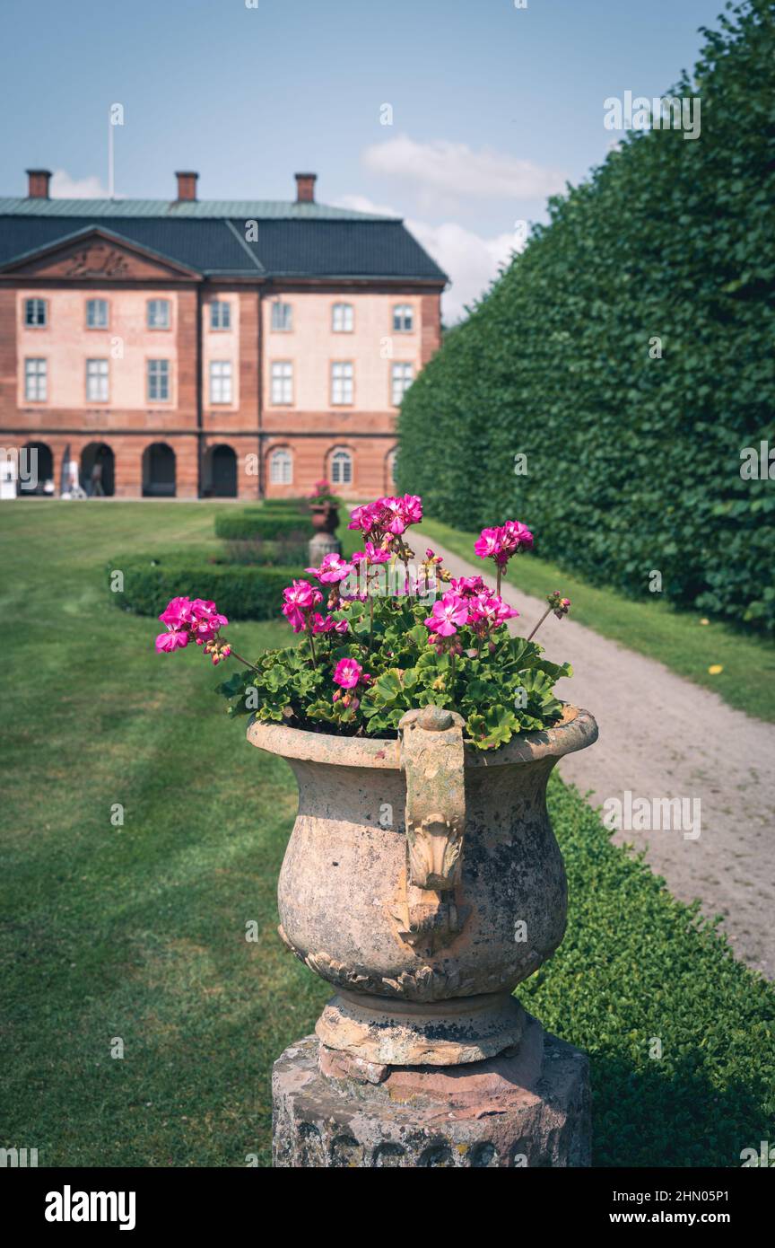 Pink flowers in antique pot in the castle gardens of Övedskloster in ...
