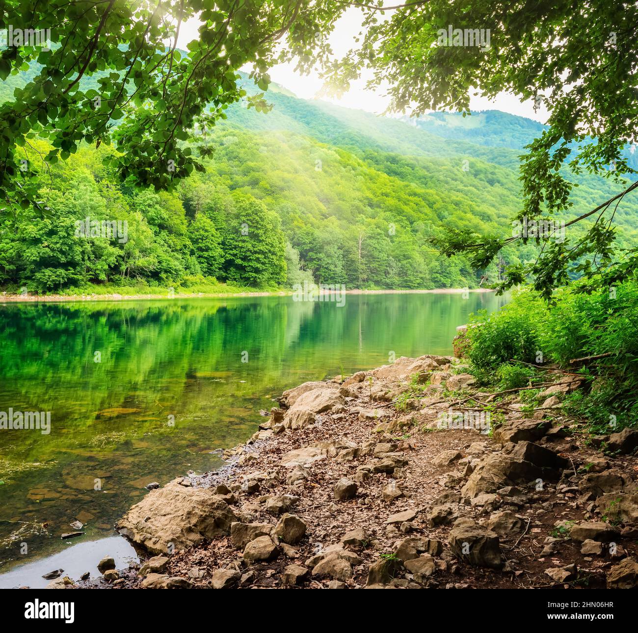 Biogradsko lake in the national park Biogradska Gora Montenegro Stock ...