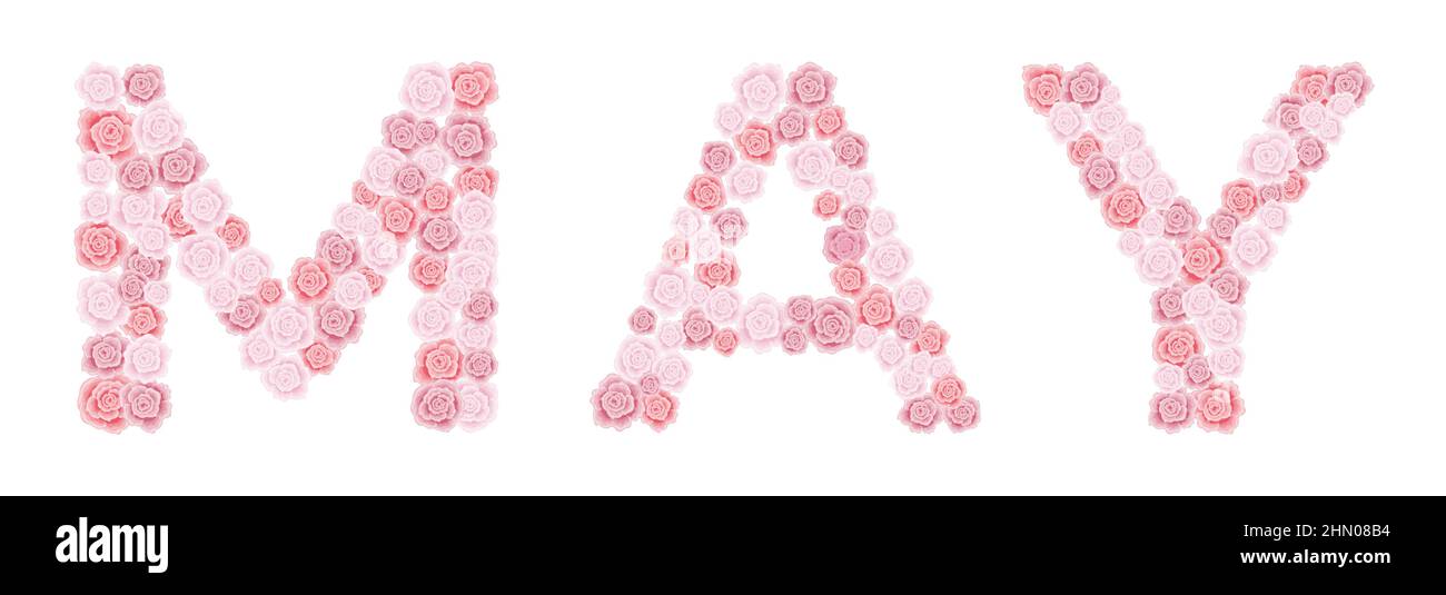 Word May – red and pink rose font in two line on white background ...