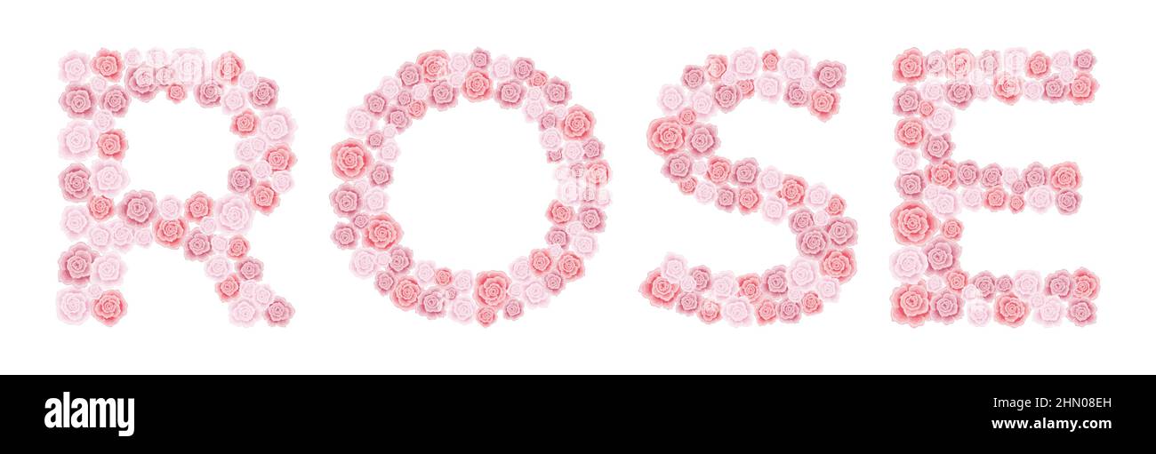 Word Rose – red and pink rose font in two line on white background ...