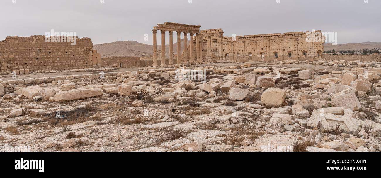 Panorama Palmyra columns and ancient city, destroyed by ISIS, Syria ...