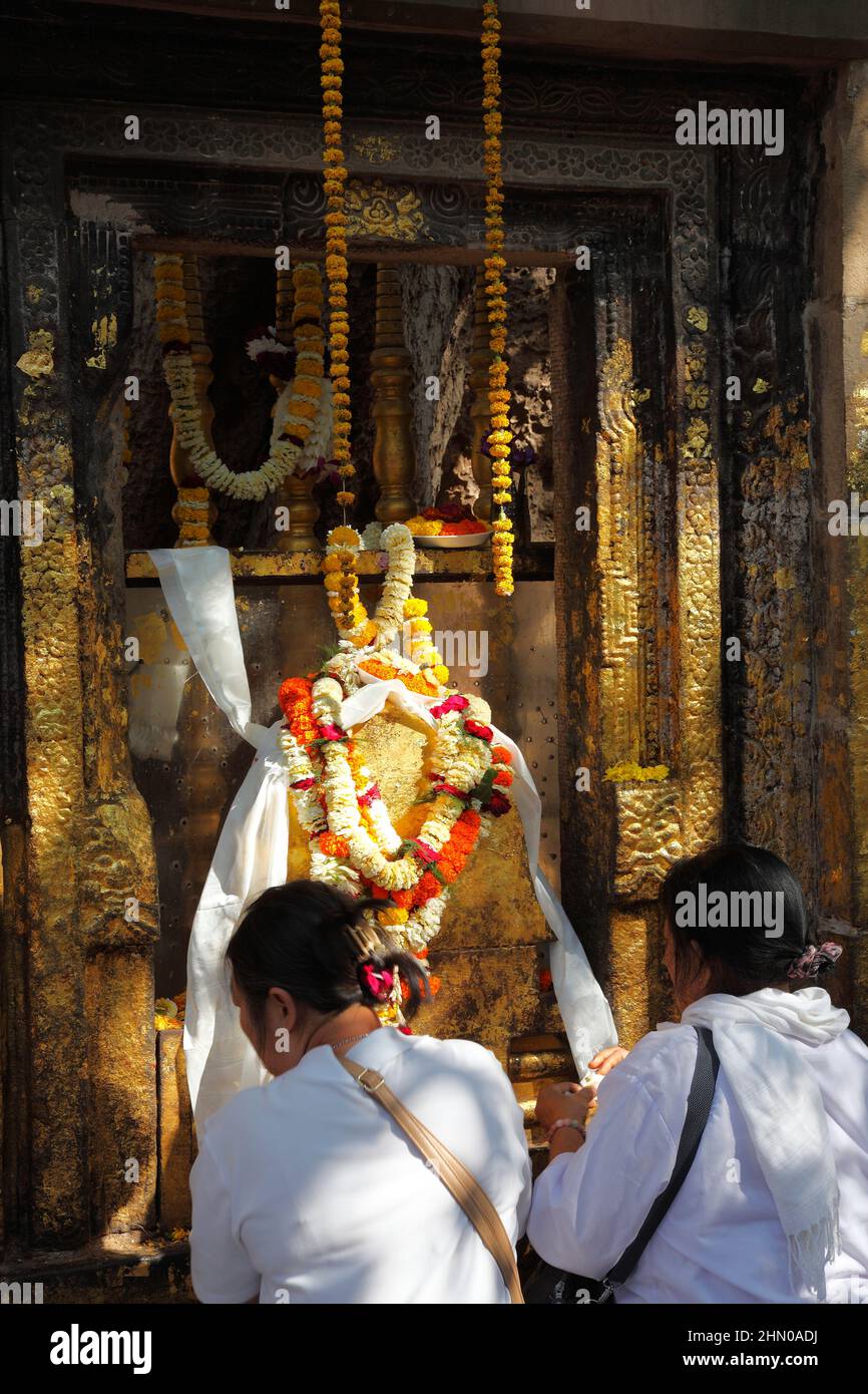 Pilgrims praying to Buddha, gathered around the sacred Bodhi Tree at ...