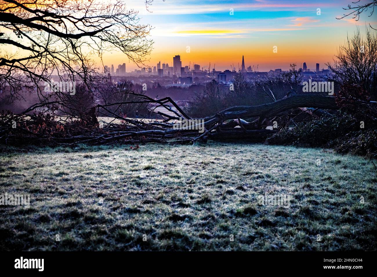 fallen tree on Hampstead Heath Stock Photo - Alamy