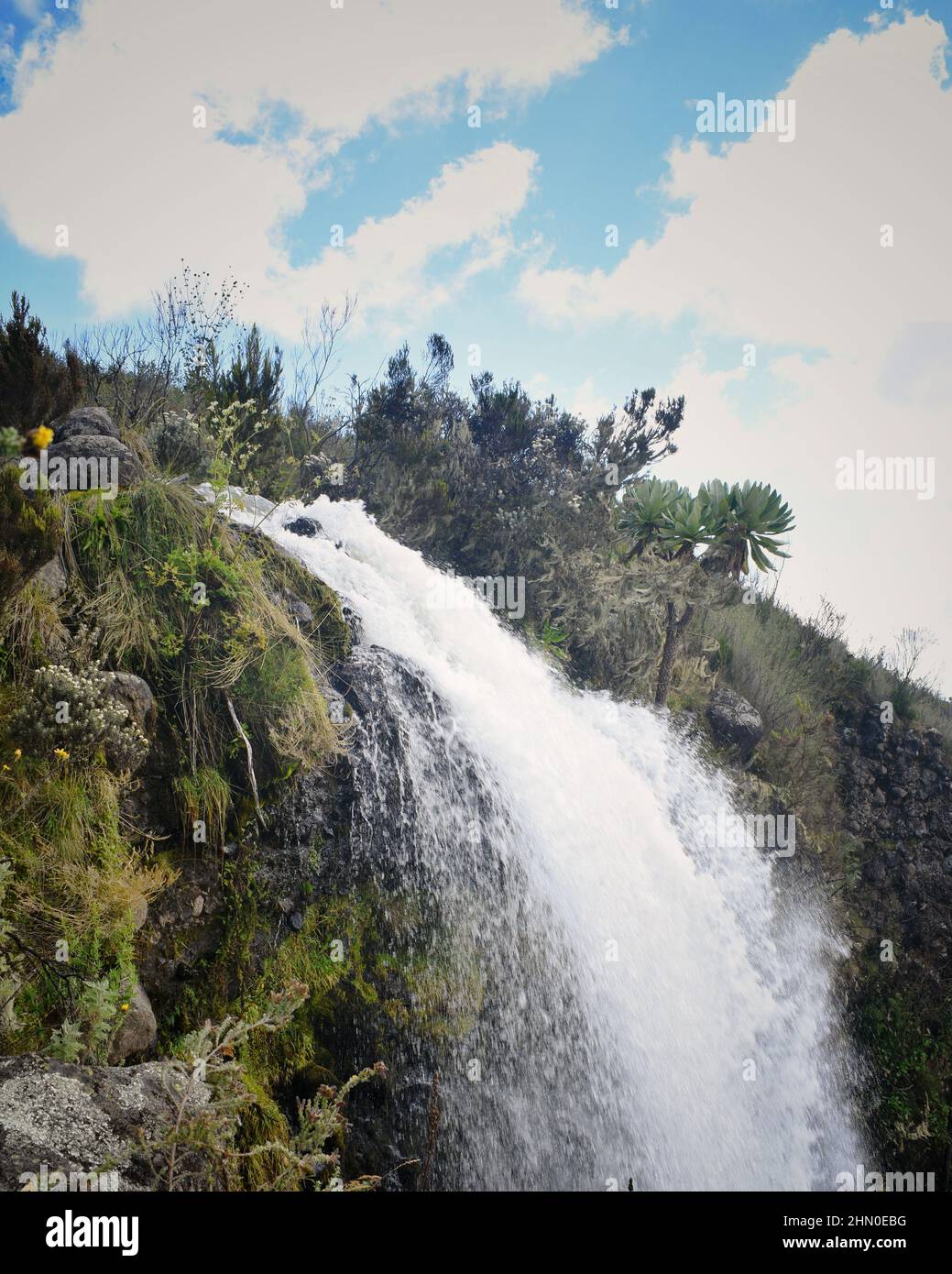 Scenic waterfall in a park Stock Photo - Alamy
