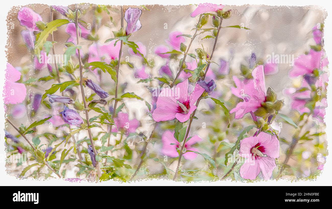 Five pink petals hi-res stock photography and images - Alamy