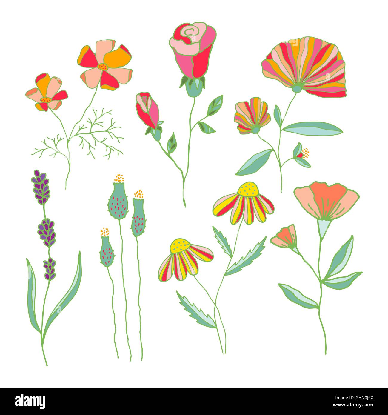 Vector set of blooming colorful hand drawn flowers. Collection of cute ...