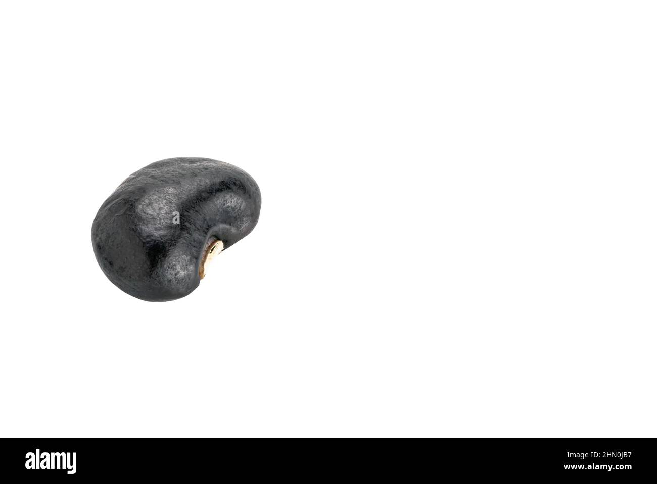High angle view of single back bean isolated on white background with ...