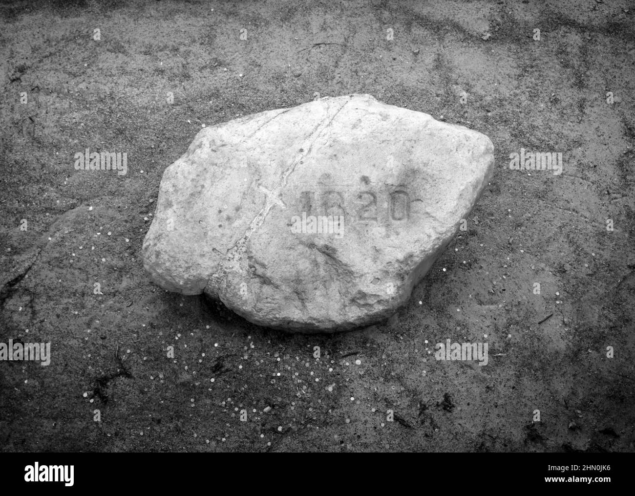 Plymouth rock Black and White Stock Photos & Images - Alamy