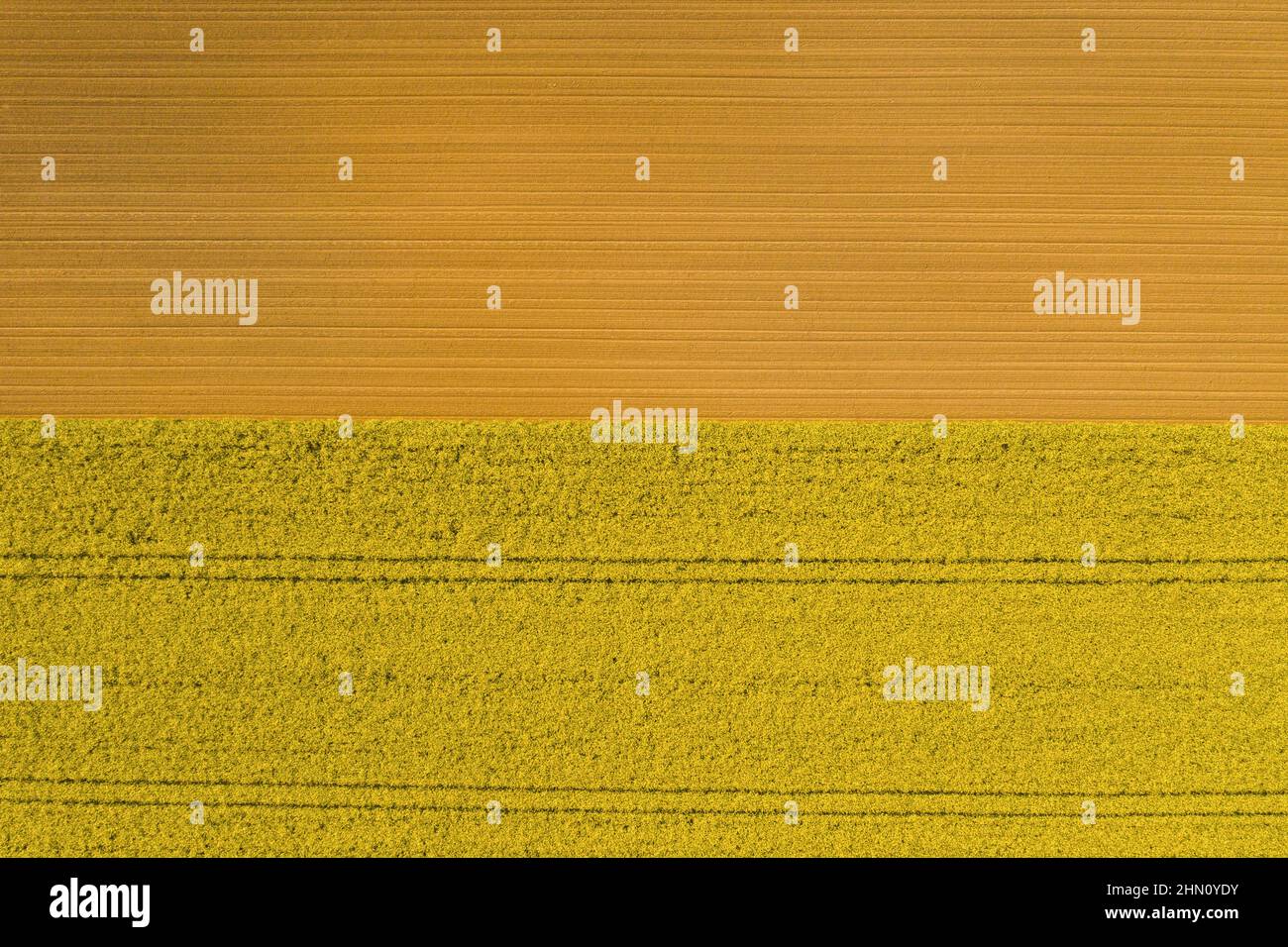 Aerial view of rows of soil before planting Canola. Furrows row pattern ...