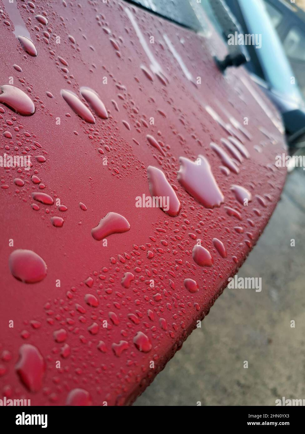 raindrops laying on a car Stock Photo - Alamy