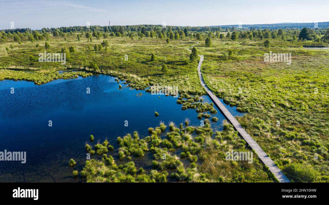 Panorama bug moor landscape as a panorama at the Hohes Venn with lake ...