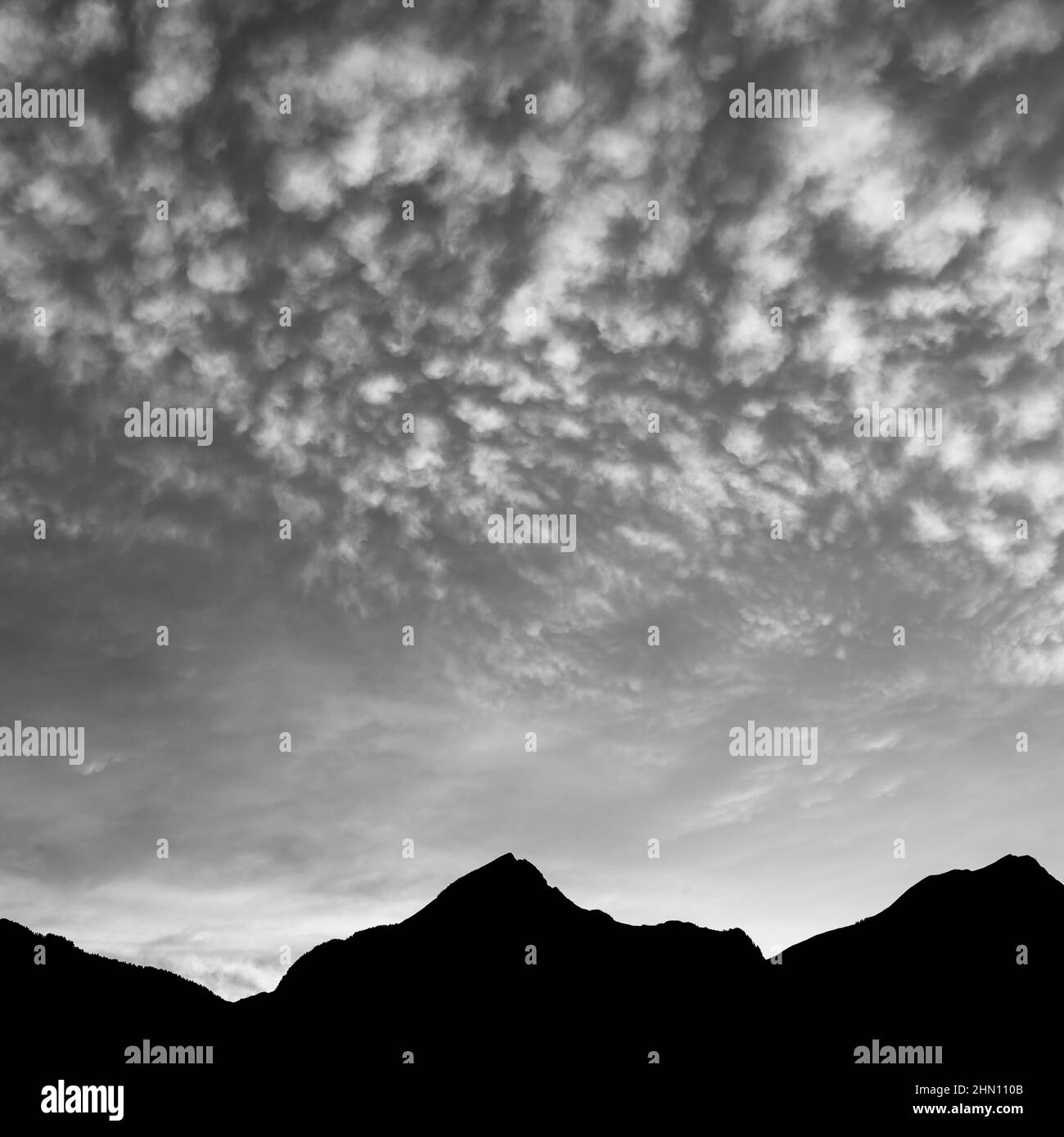 Sunlight in evening over Black and White Stock Photos & Images - Alamy