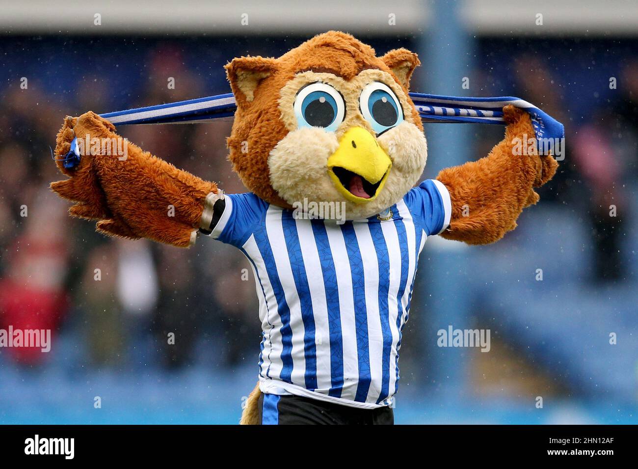Sheffield Wednesday mascot Barney Owl during the Sky Bet League One ...