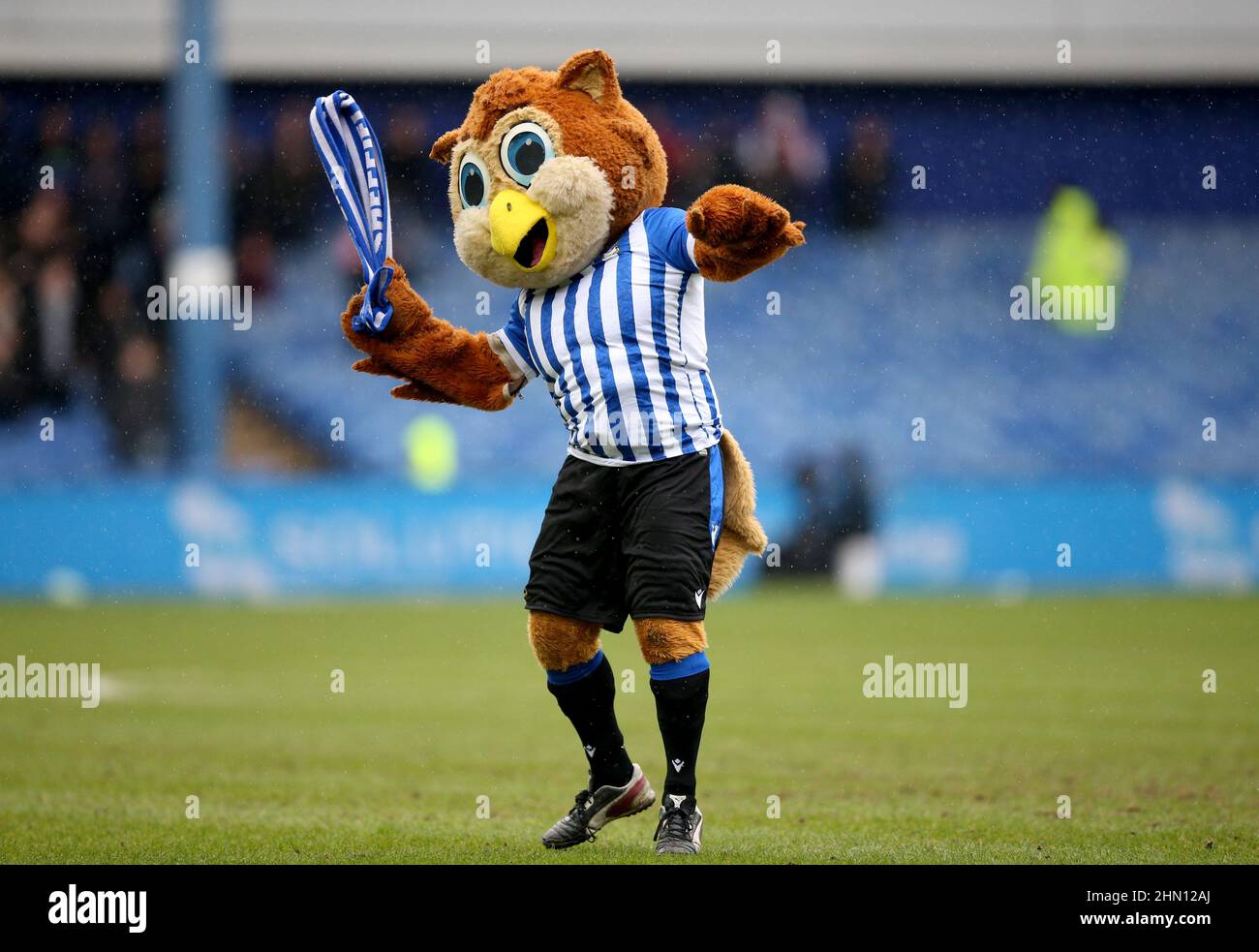 Sheffield wednesday mascot barney owl hi-res stock photography and ...