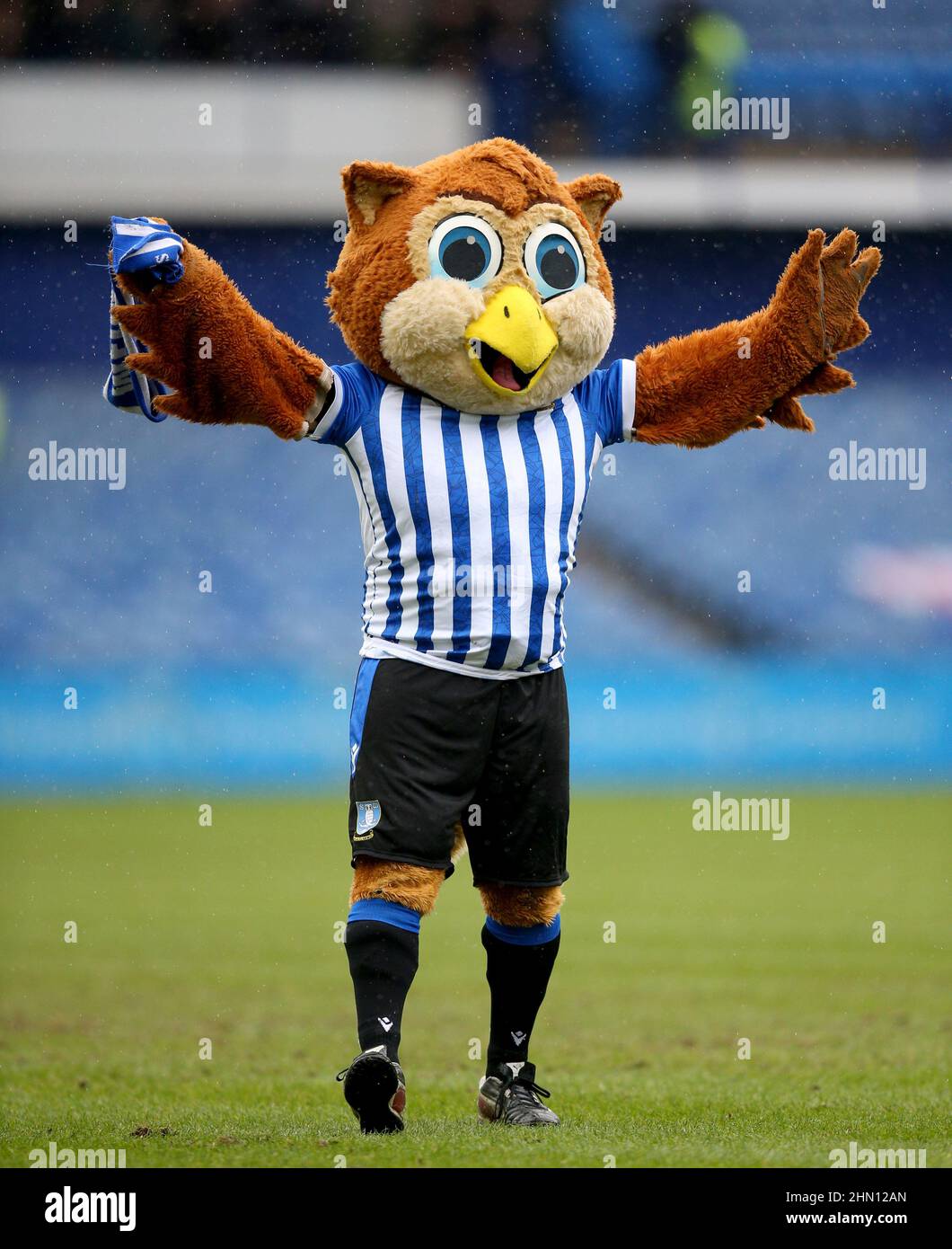 Sheffield Wednesday mascot Barney Owl during the Sky Bet League One ...