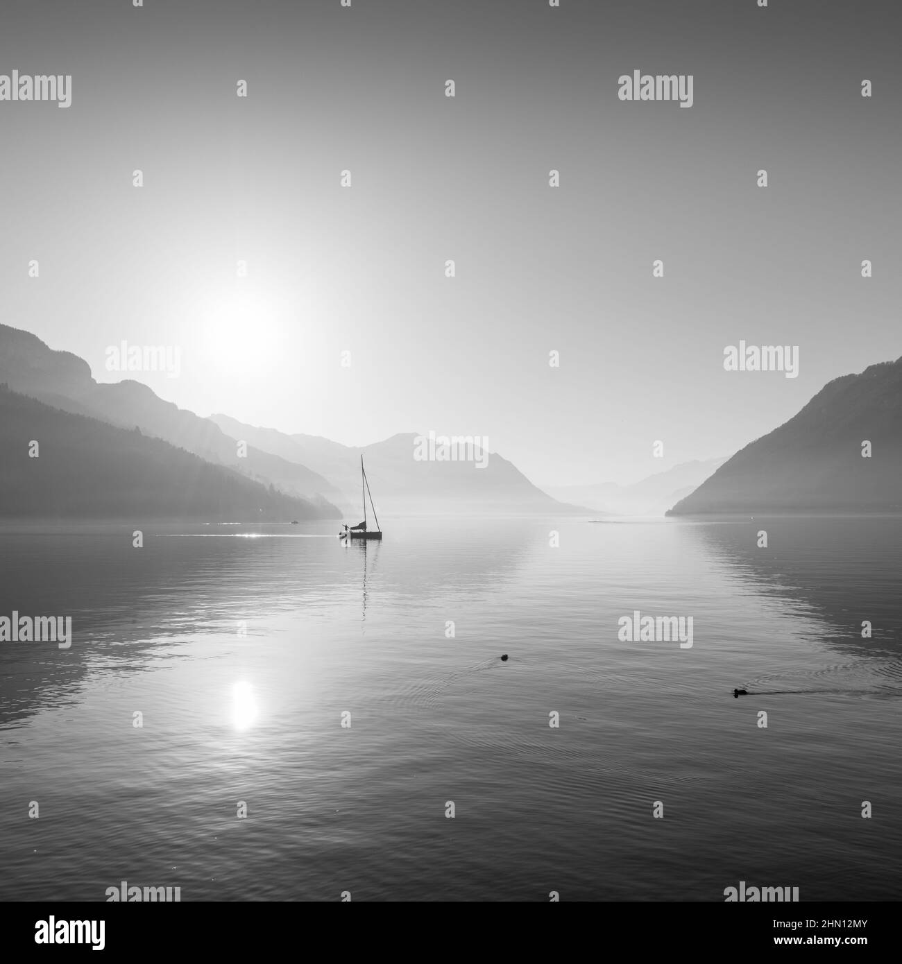Sunlight rays in morning Black and White Stock Photos & Images - Alamy