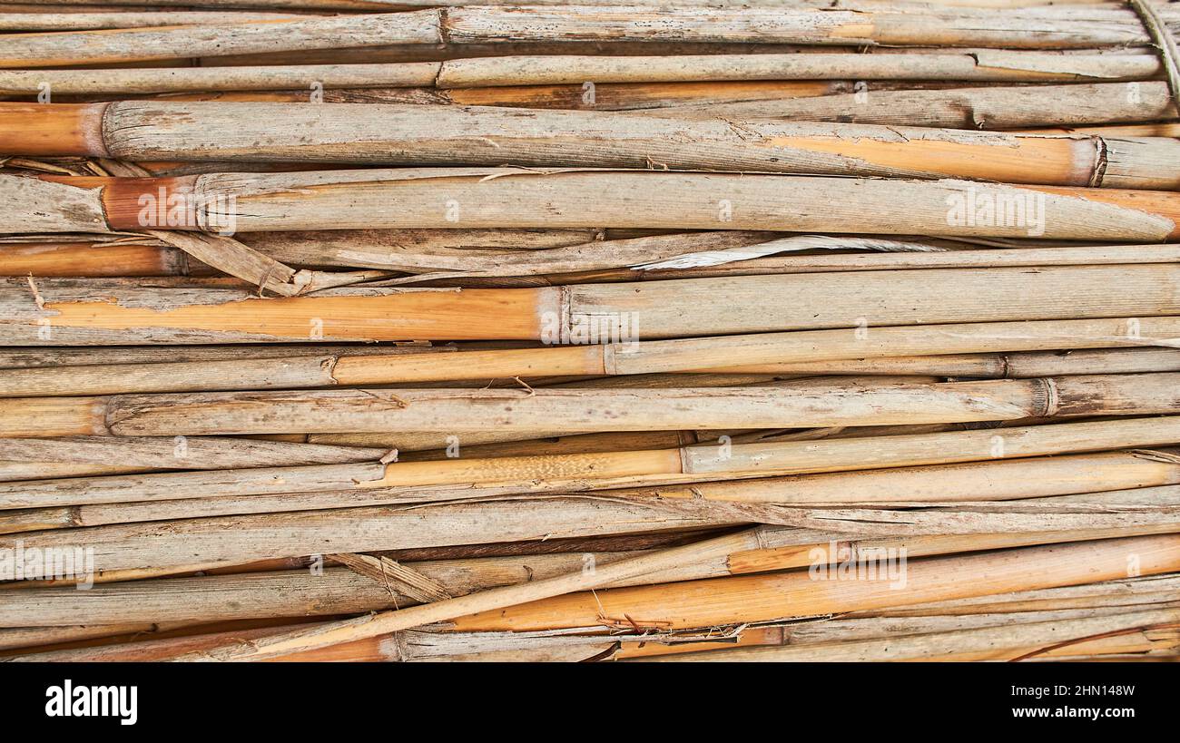 Dry reed texture for background Stock Photo - Alamy