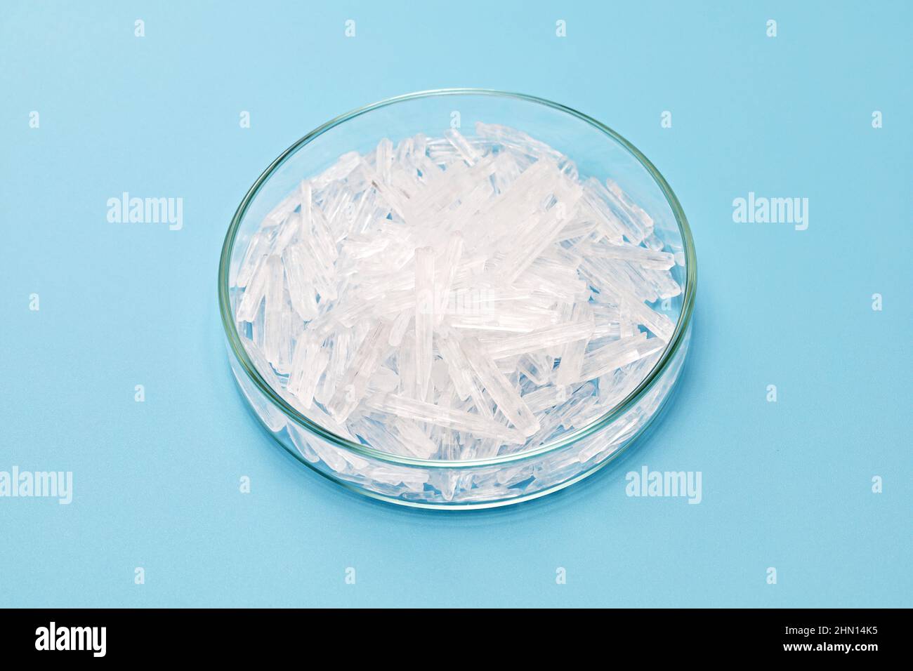 menthol crystals in a petri dish isolated on sky blue background Stock ...