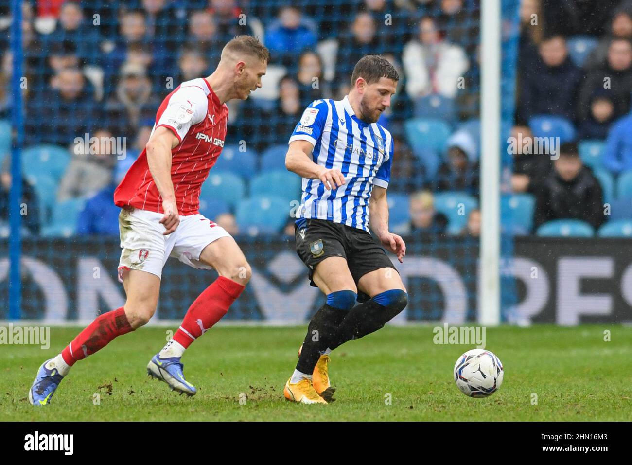 Sam Hutchinson #5 of Sheffield Wednesday shields the ball Stock Photo ...