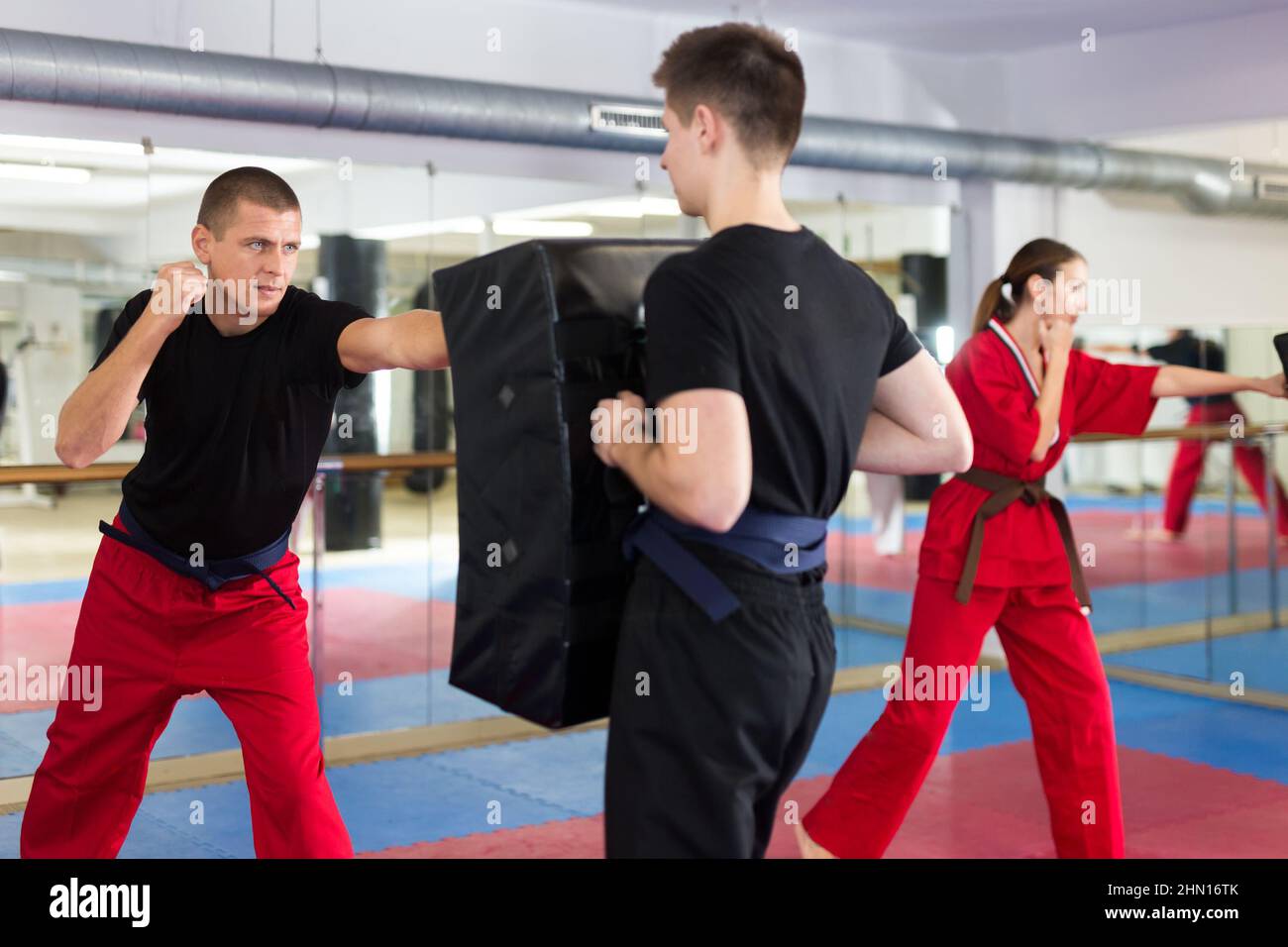 Punching shield hi-res stock photography and images - Alamy