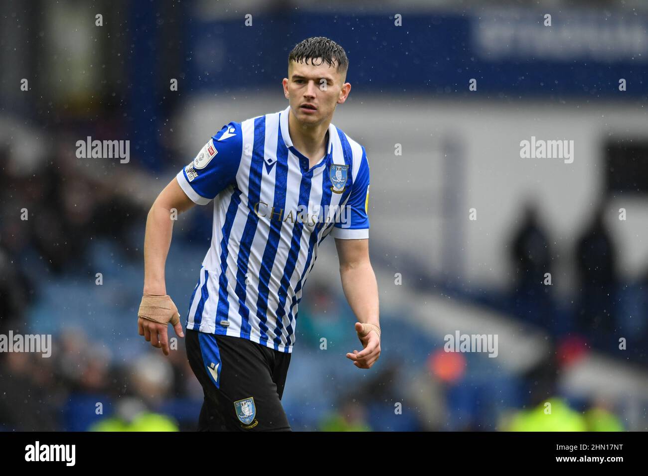 Jordan Storey #38 of Sheffield Wednesday in action during the game ...